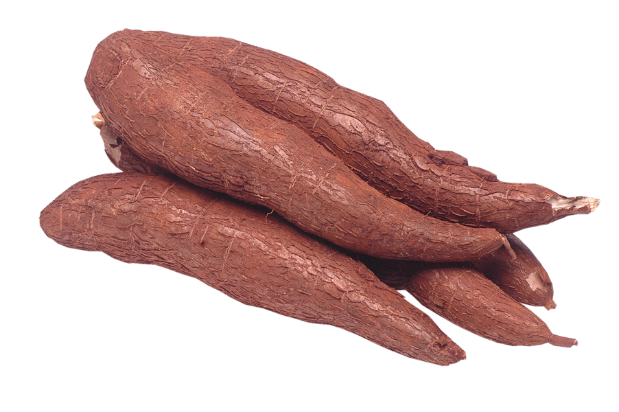 Mandioca como fonte de Hidratos de Carbono | MASTER MÚSCULOS