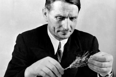 Honest Ab: Evolution and Related Topics: Let's Hope Lysenko Stays Dead