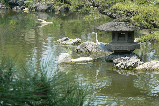 Japanese Zen Garden: Zen Bridge - Pond - Path