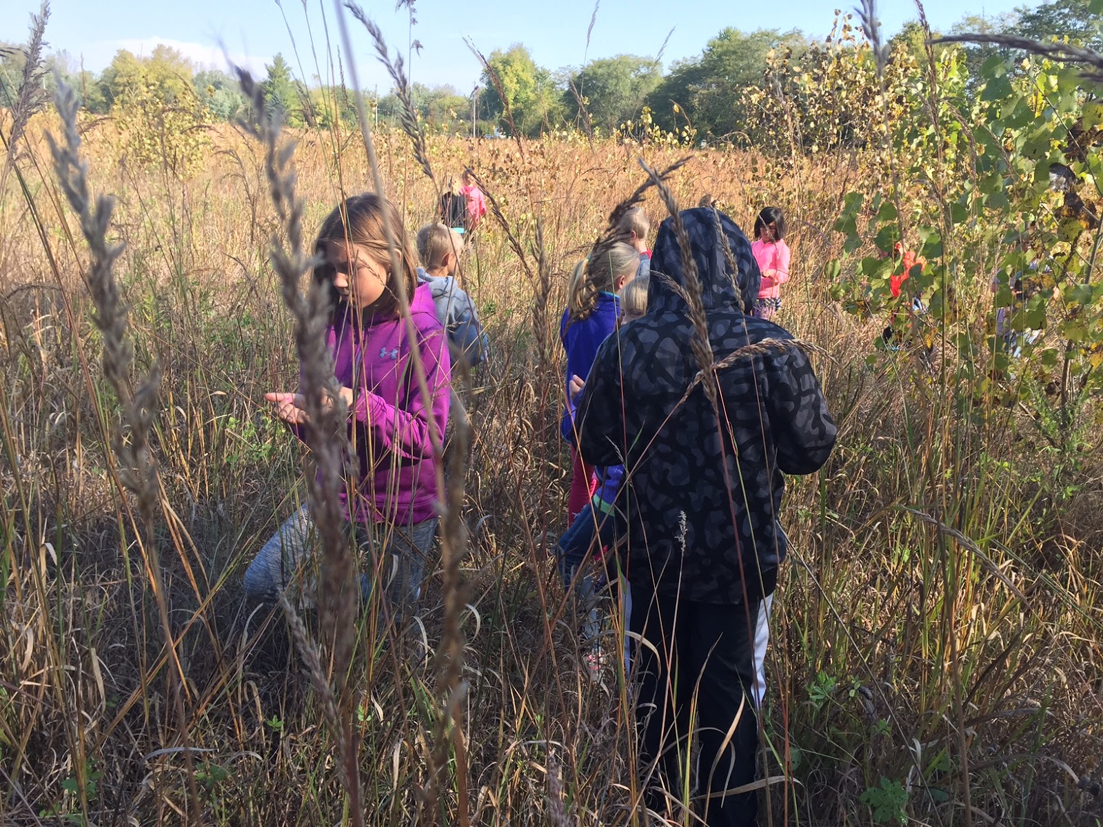 DarkeJournal.com: Family Outdoor Nature Discovery program at Shawnee ...
