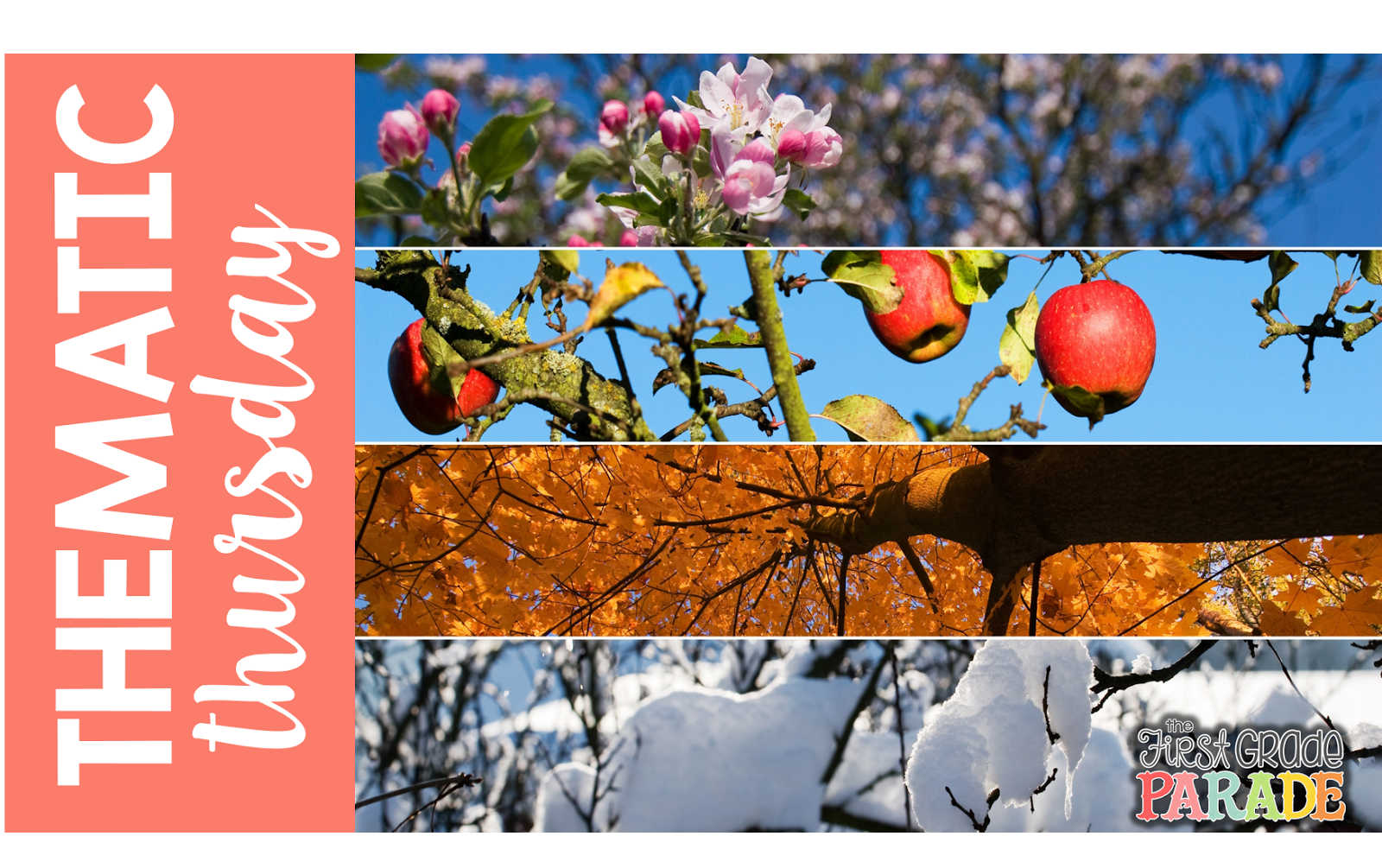 Holidays & Themes (Thematic Thursday) - Cara Carroll