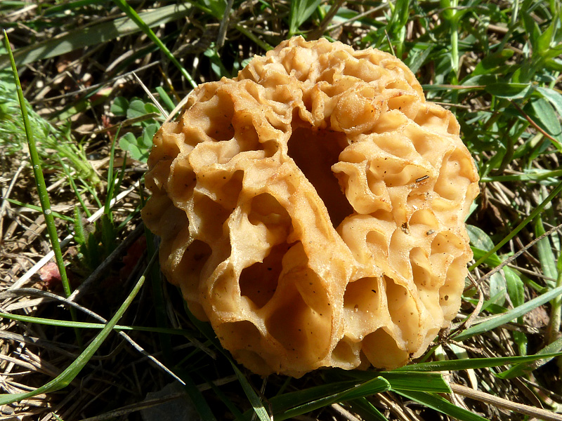 PASOS: Abril, paleta de colores