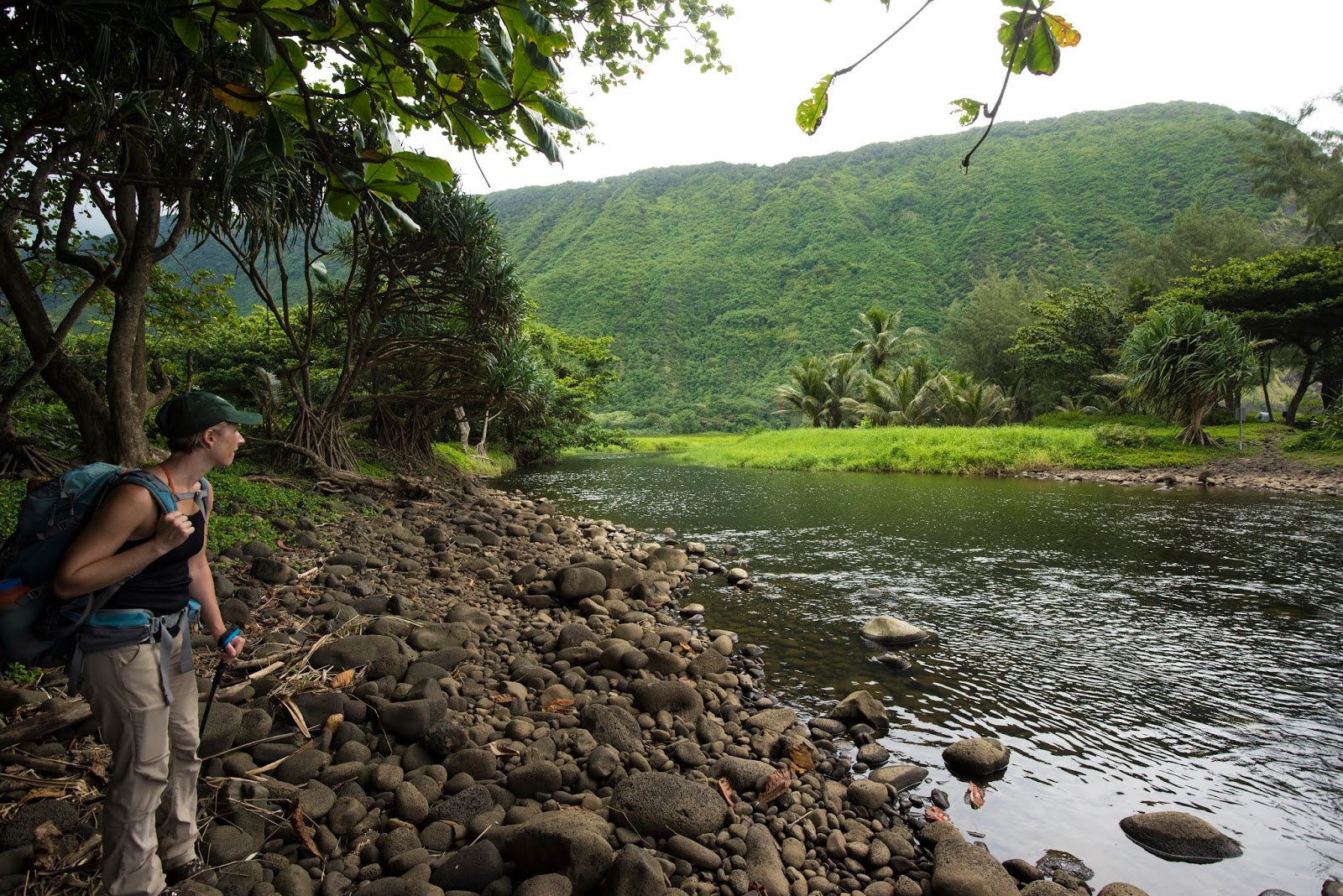 MULIWAI TRAIL TO WAIMANU VALLEY. BIG ISLAND, HAWAII - ADAM HAYDOCK