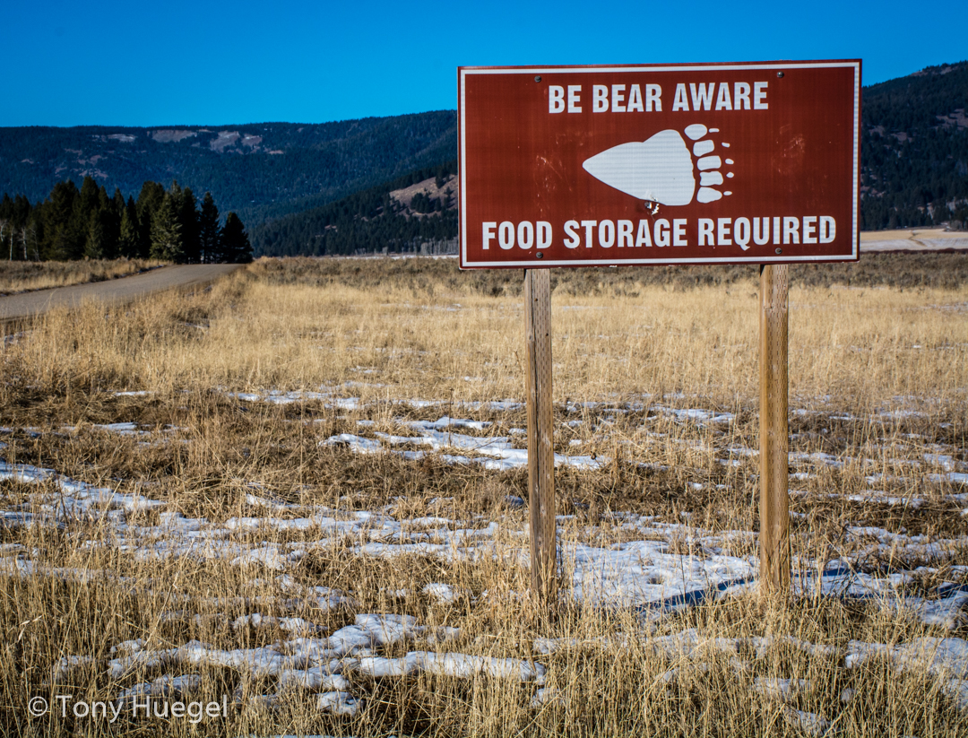 Kilgore Gold Project: Canadian mining company hopes 'frontier' county ...