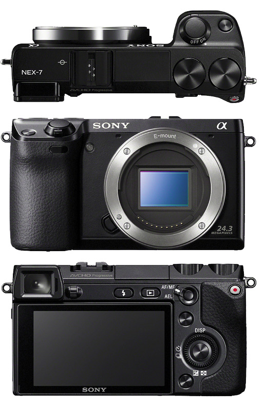 Poitography : point of interest for photography: Profesional Cameras In ...