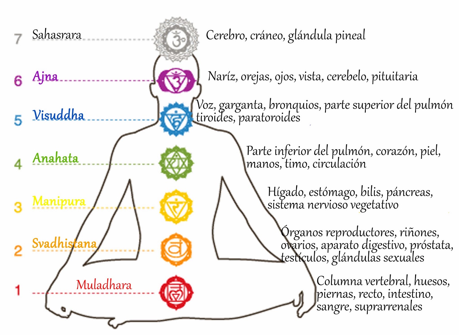 Conoce los Chakras de tu cuerpo ~ Karaxa Magazine