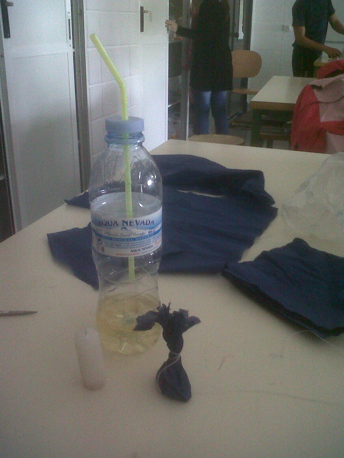 BIOALUMNOS: Extintor casero.