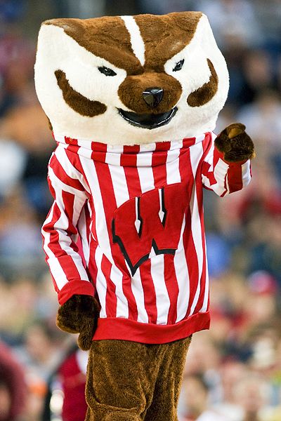 Applestone Cottage: Our New Year's Eve and go Bucky go!