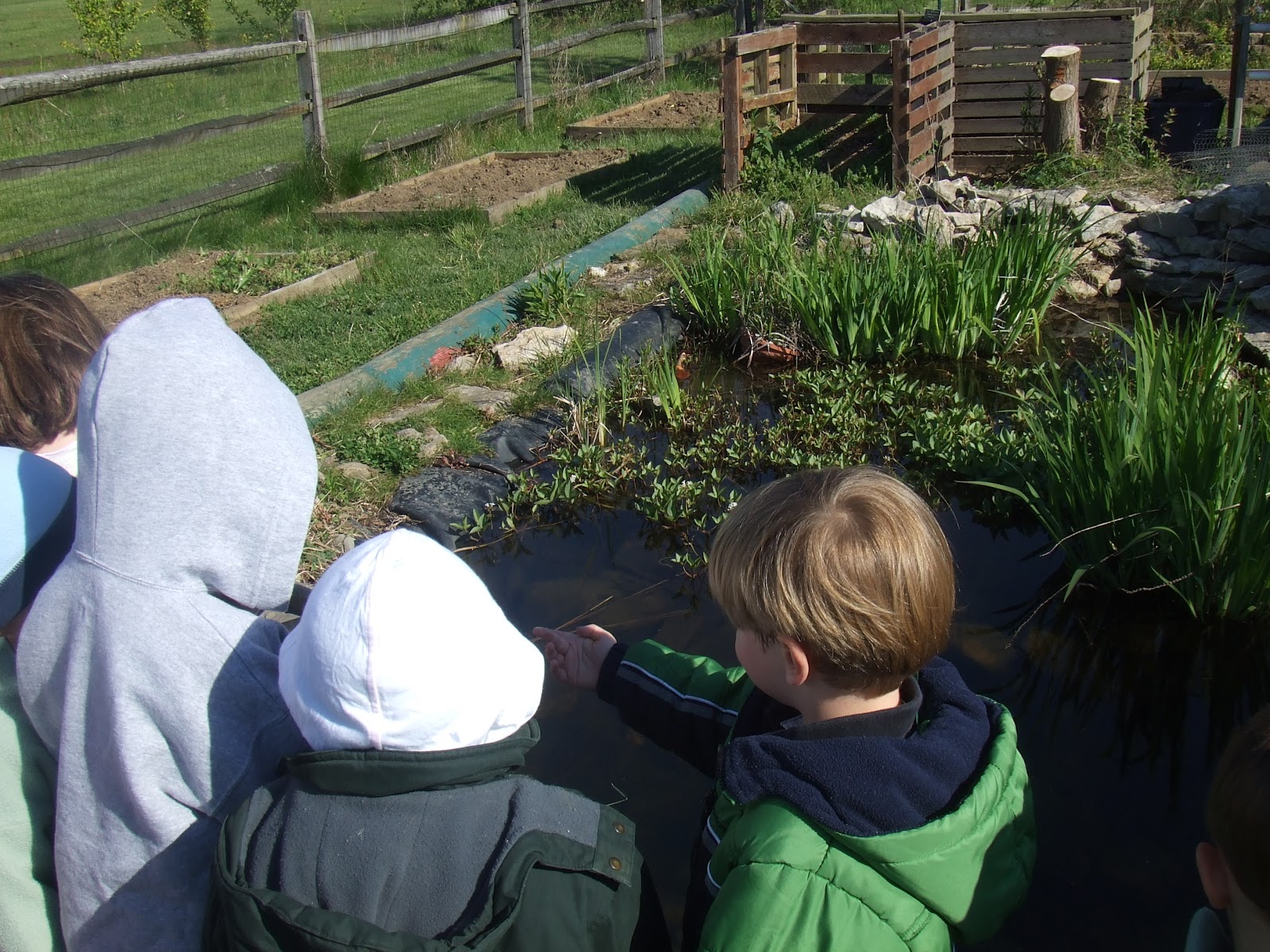 Cachey Mama's World of Learning: 10 Plant Activities for Preschool