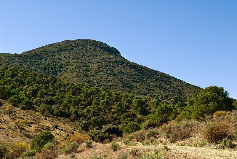 Overa Viva: ELOGIO A OVERA. Por Salvador Navarro Fernández