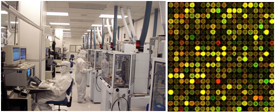 Insuficiencia Cardíaca: TECNOLOGÍA DE LOS MICROARRAYS E INSUFICIENCIA ...