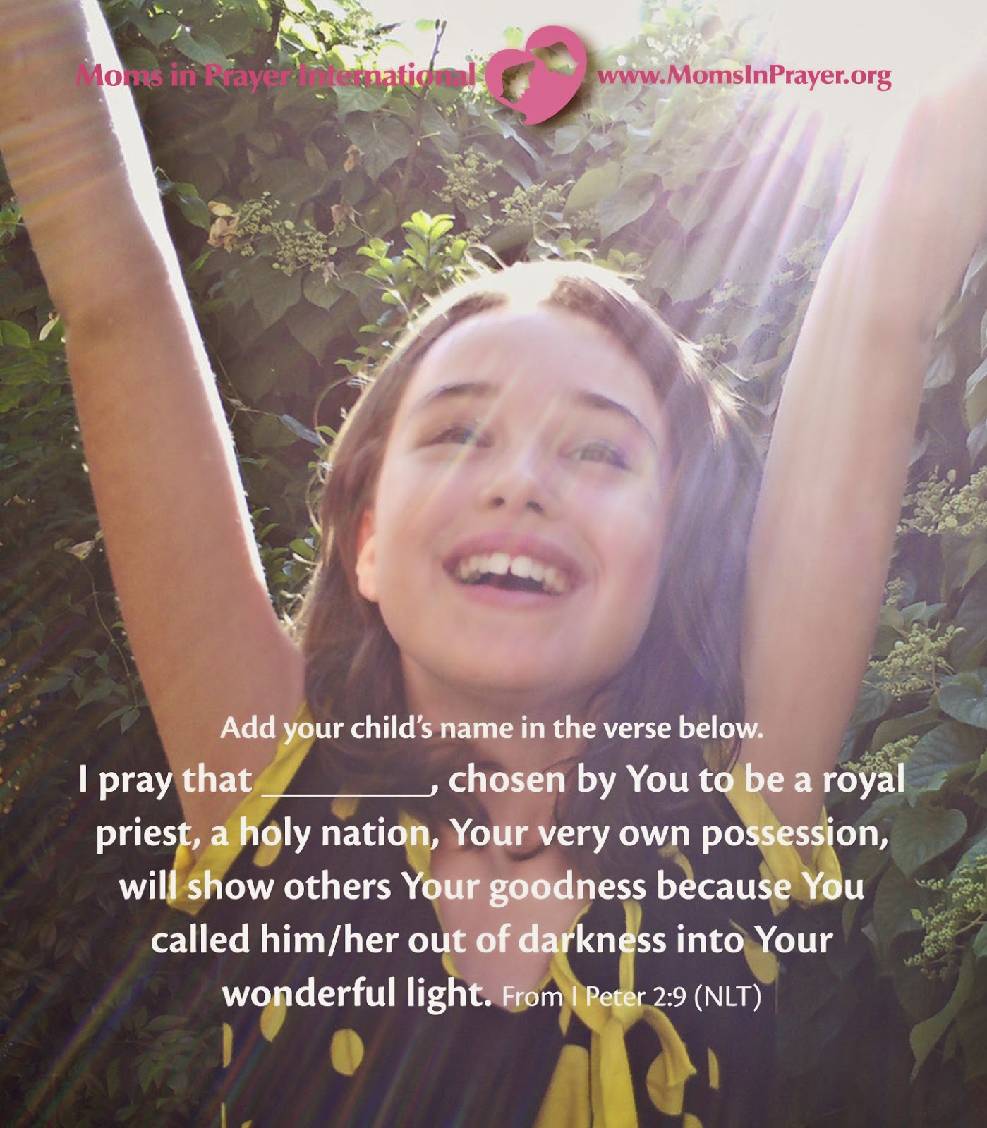 Freida Hall's Instagram, Twitter & Facebook on IDCrawl