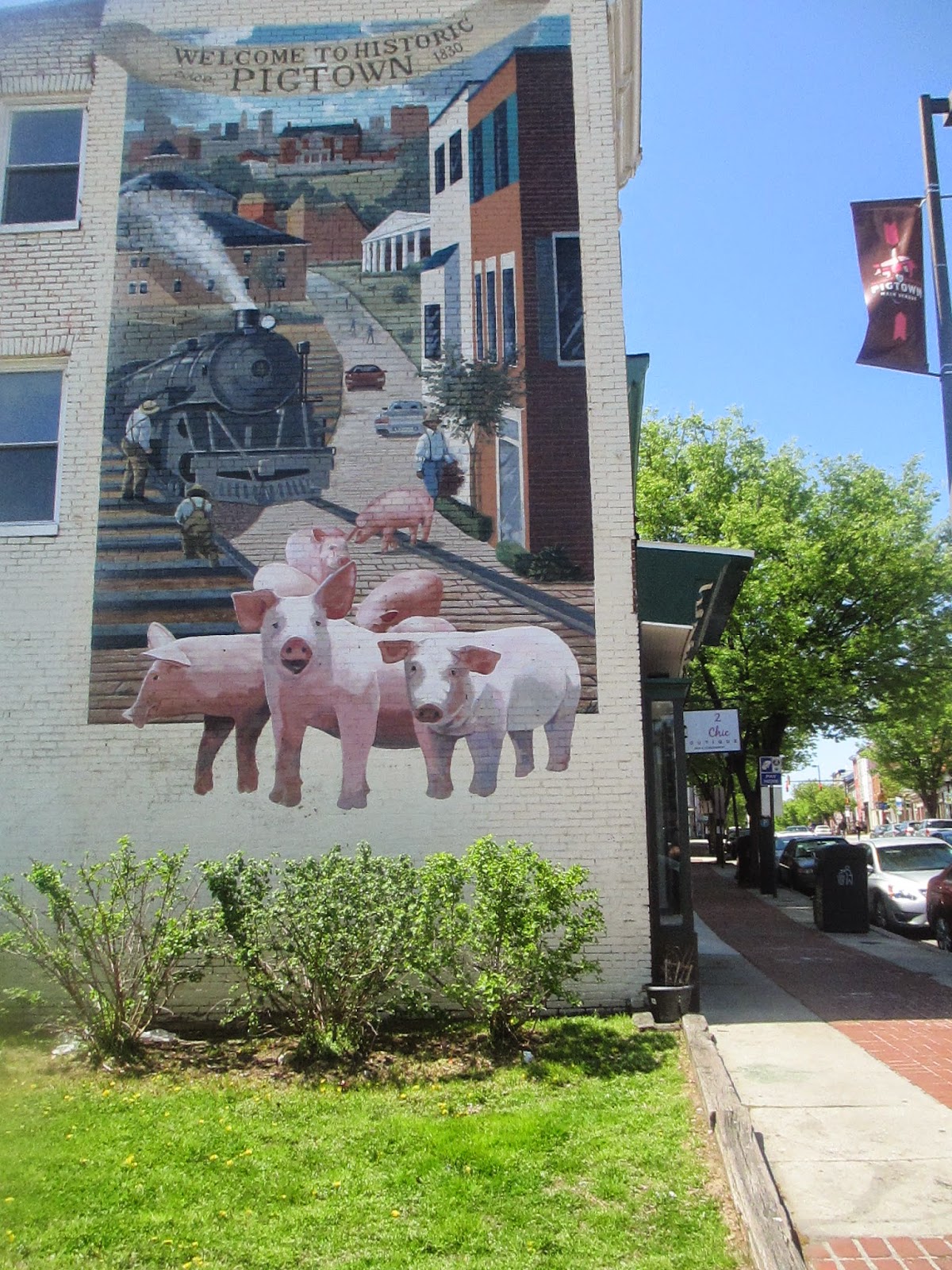 Baltimore You are Marvelous