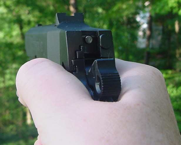 View From The Porch: Realism