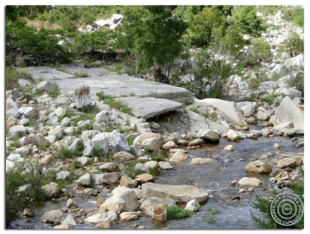 Eastern Cape & Beyond: Van Stadens Bridge