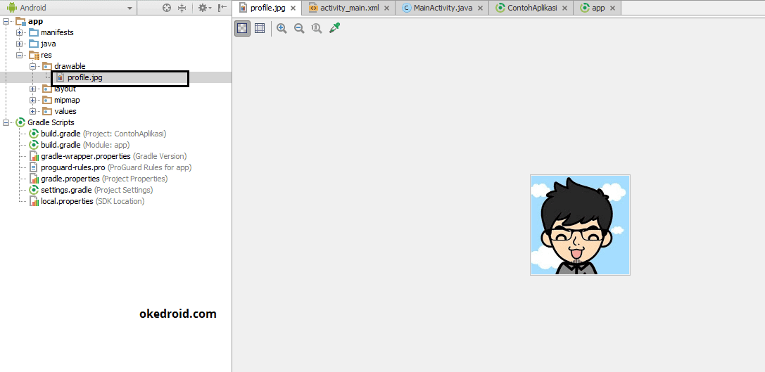 Cara Menampilkan Gambar Bulat (Circle) Dengan Library Android - Java ...