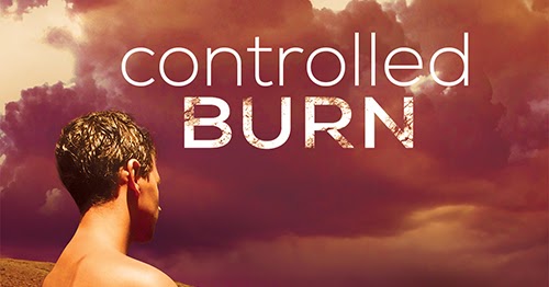 Book Spotlight: Controlled Burn by Erin McLellan
