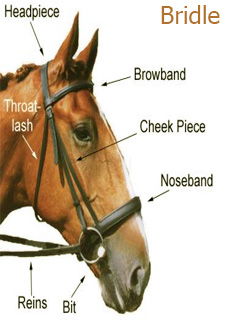 Jewelry Names List & Ornaments Name with Images | Necessary Vocabulary ...