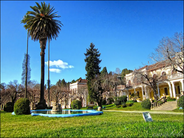 UM PIGO DE LUZ: Parque das Termas da Curia / Anadia