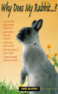 Facts About Rabbit: Rabbit book: Quick reference about rabbits