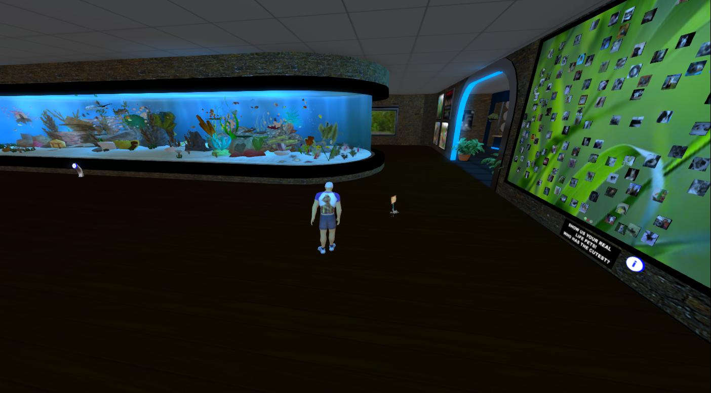 Virtual aquarium tour for kids - ryteprints