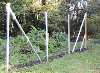 My Back Forty Garden and Park: How to Make Bean Poles