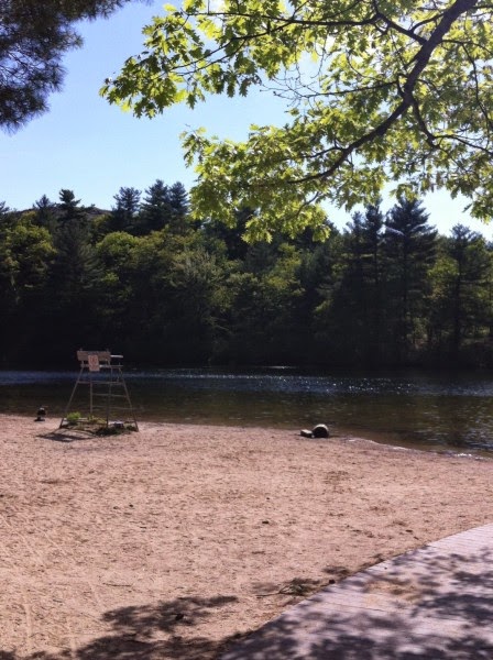 WickedBlogger20: Breakheart Reservation