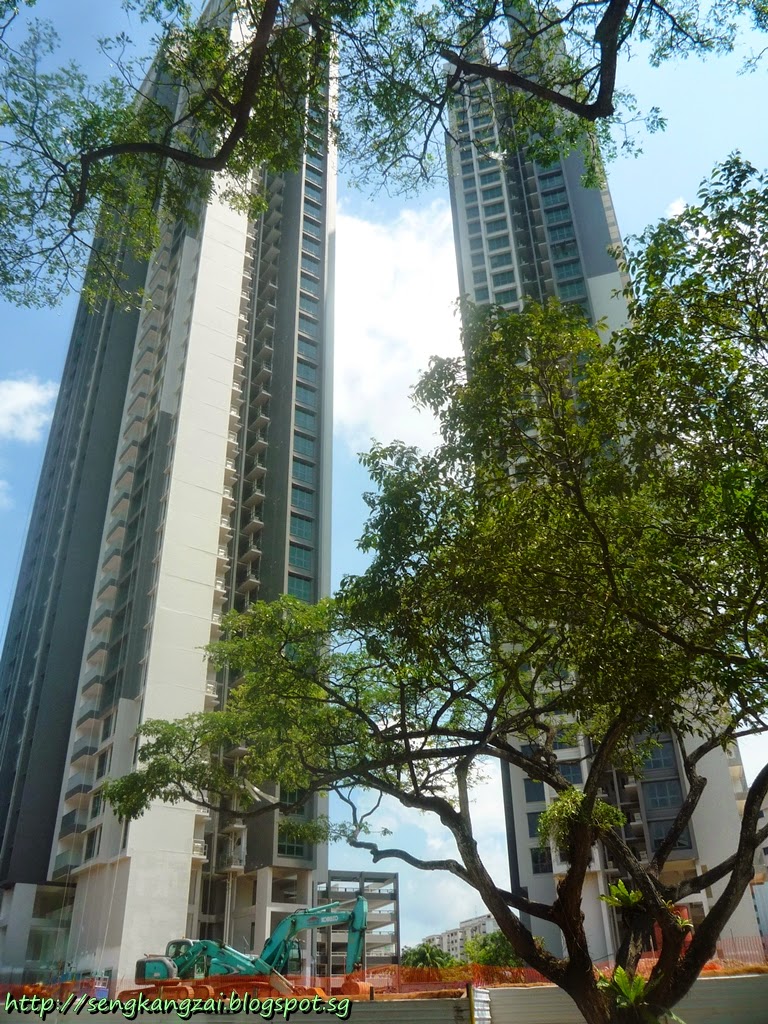 Zai@Sengkang: Trivelis - Clementi DBSS (Year 2014 Week 24)