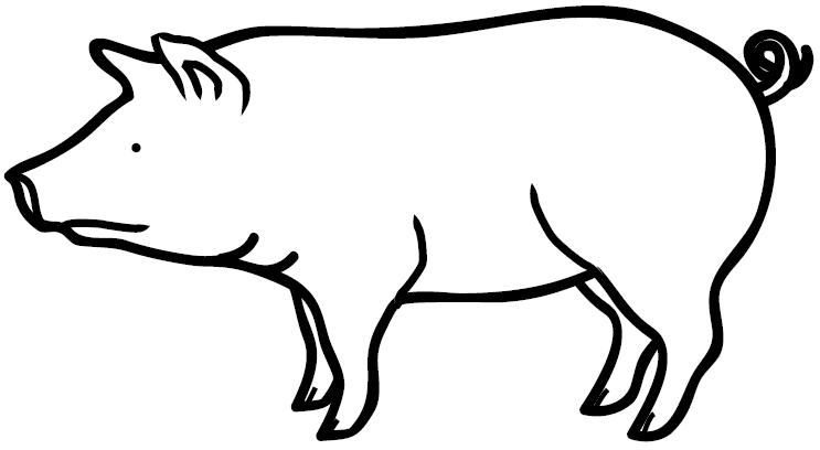 Chancho para colorear - Imagui