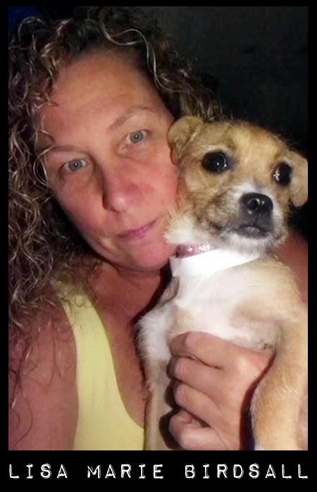 Four legged friends (and enemies): New York: Lisa Birdsall is accused ...