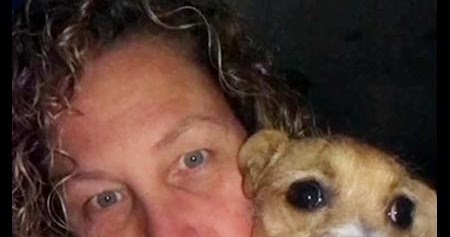 Four legged friends (and enemies): New York: Lisa Birdsall is accused ...