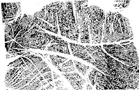 Mystic Cross Indicates Psychic Power | Indian Palmistry ~ INDIAN ...