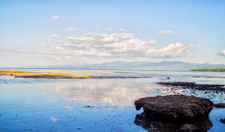 Destinasi Wisata Indonesia: Destinasi Wisata Bahari di Flores Timur, NTT