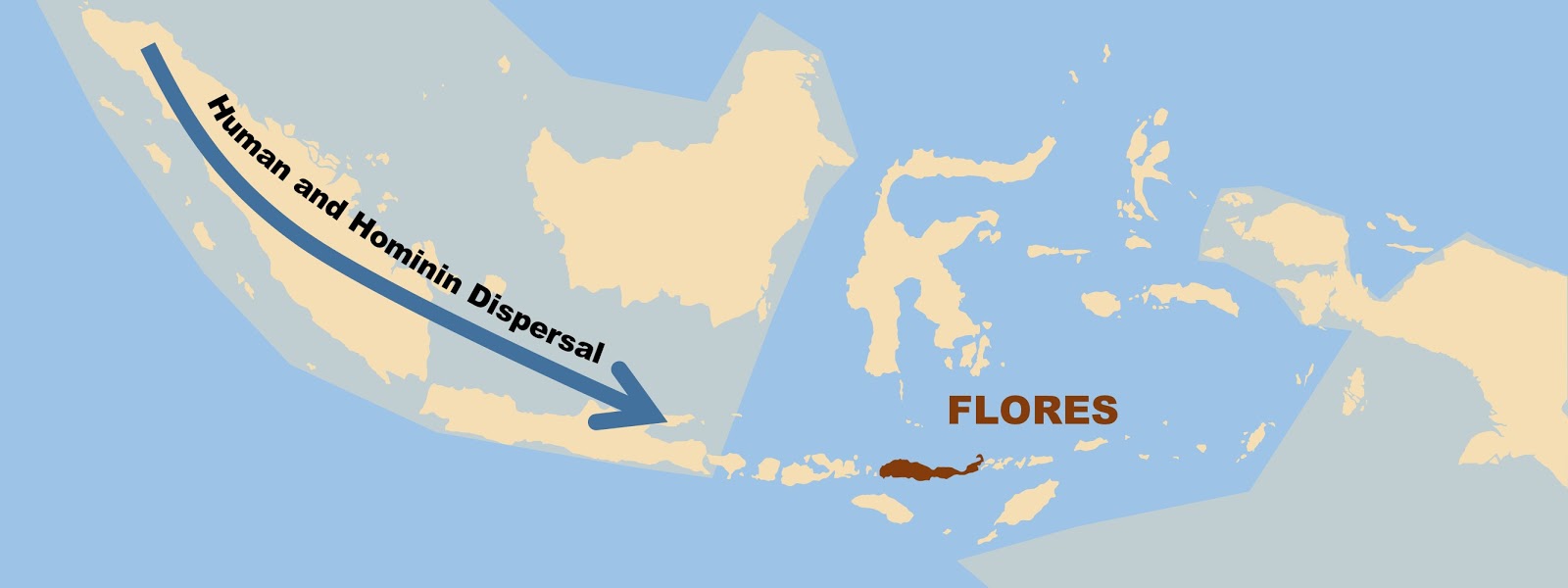 Seafaring "Cavemen?" Imagine That!