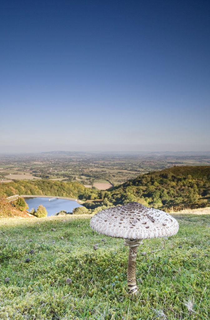 Neil Atkinson photographer: Autumn Workshops