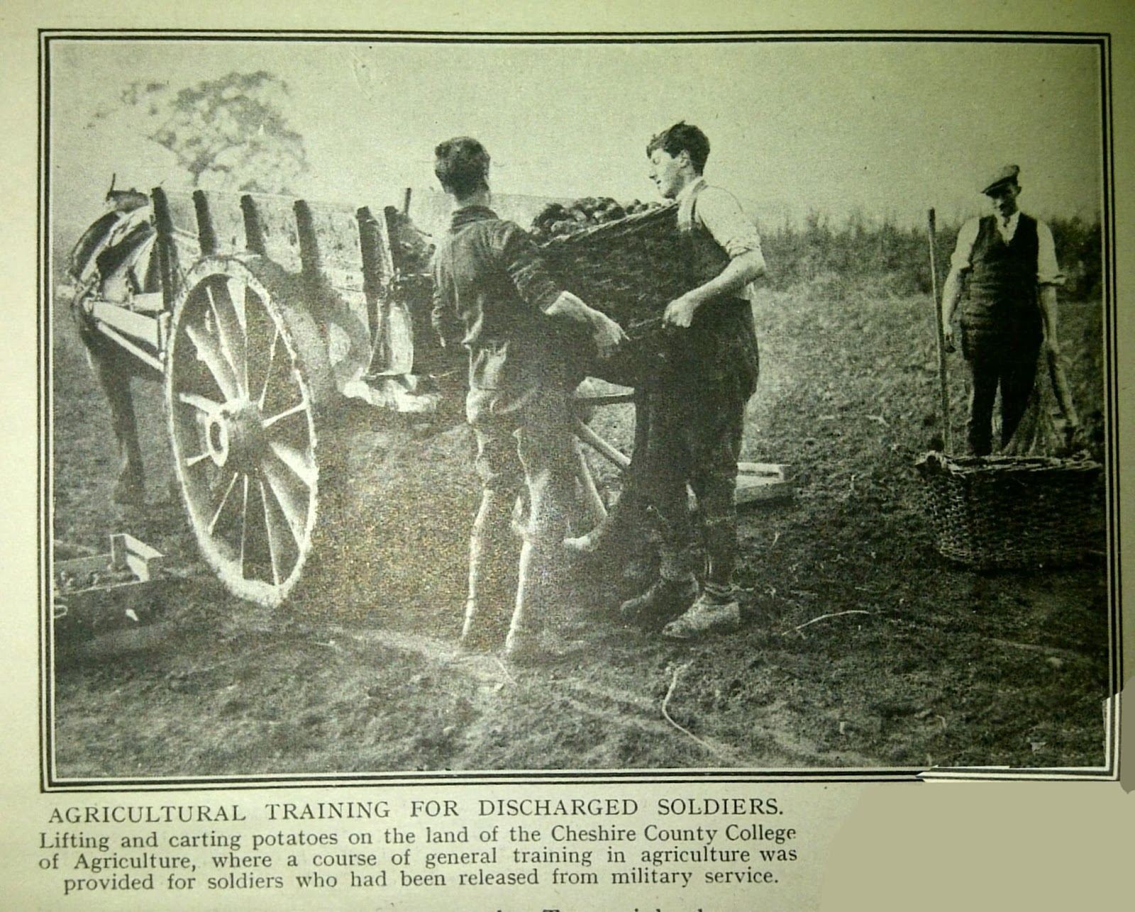 Country Standard: The Harvest of 1919 - Agricutural Labourers