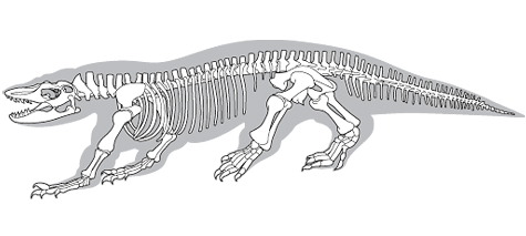 Varanus: O maior lagarto conhecido que já viveu na Terra - Saber Atualizado