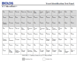 S-STEM Scholar Jacqueline McCarter's Blog: Gen III MicroPlate