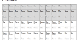 S-STEM Scholar Jacqueline McCarter's Blog: Gen III MicroPlate