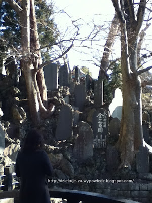 Narita (miasto) i Unari-kun