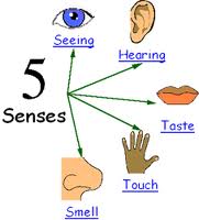 karime: 16. - DISORDERS OF THE SENSE ORGANS
