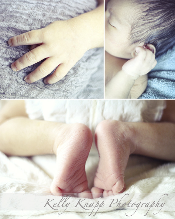 Kelly Knapp Photography