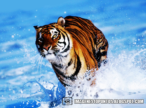 Imagenes HD ~ Imágenes de 10