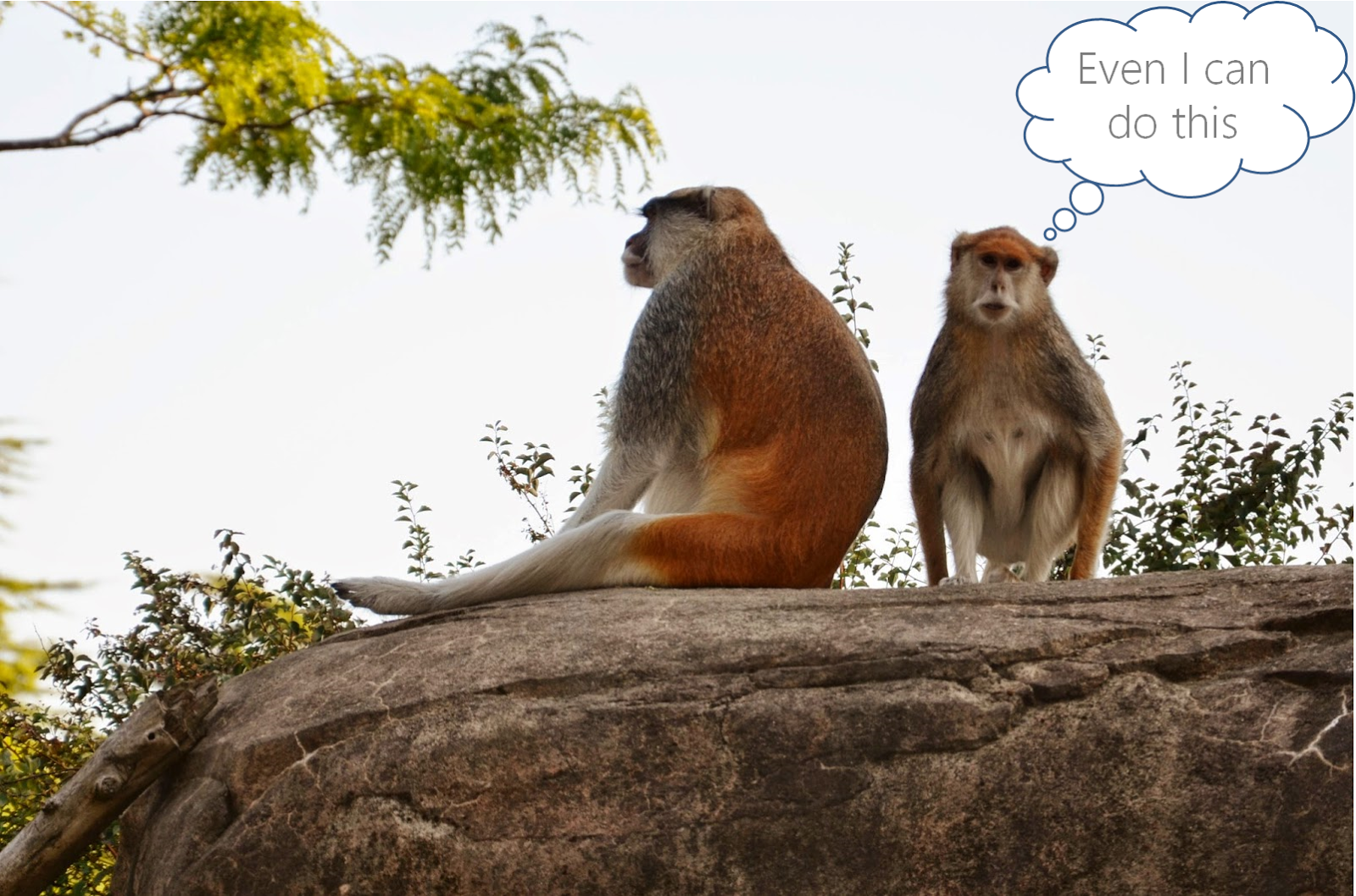 Unlimited Net Worth: The secret to investing at the optimal time (hint ...