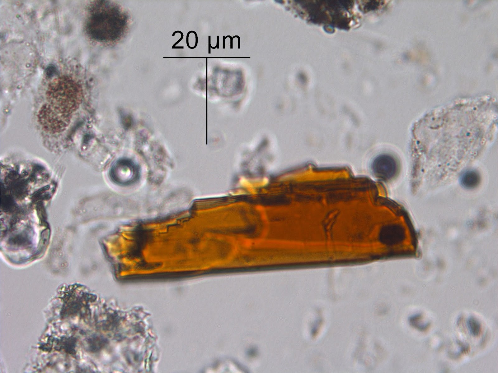 TMI Tutorials: Siliciclastics - the basics