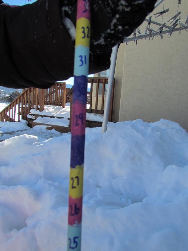 The Little Things: Homeschool Science: Snow Stick