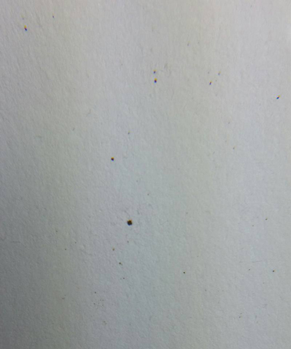 MAKING A MARK: How to avoid contamination of watercolour paper