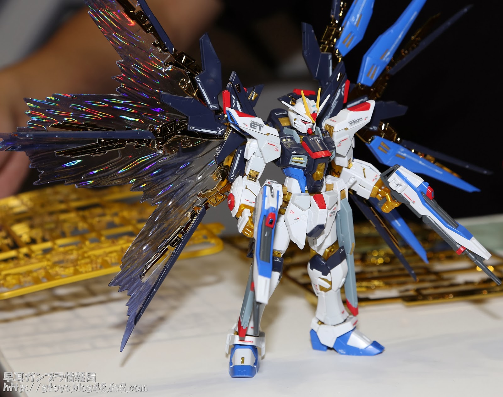 GUNDAM GUY: P-Bandai Online Hobby Shop Exclusive: RG Strike Freedom ...