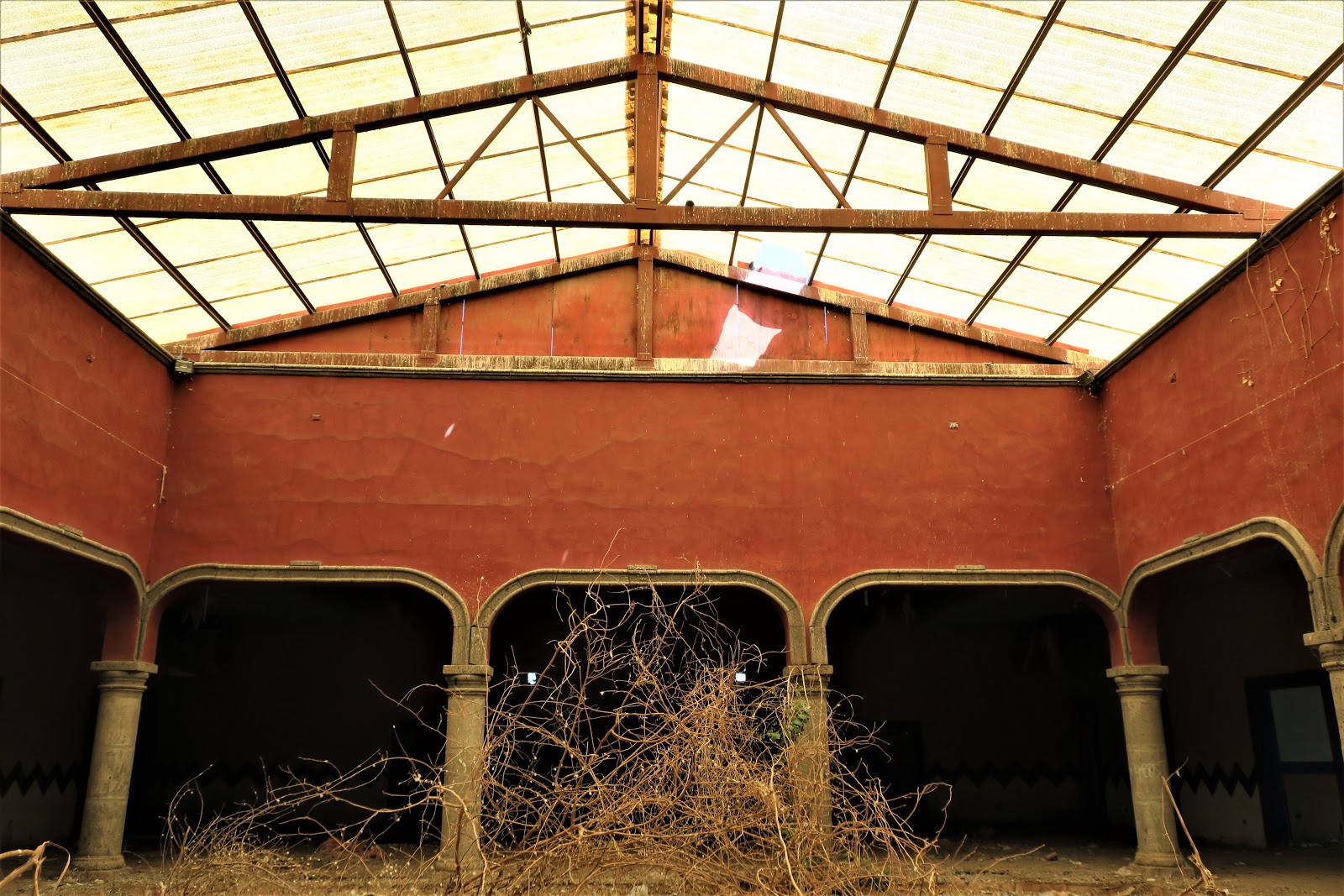 Living Rootless: Mexico: Puerto Palomas, Chihuahua: Revisited