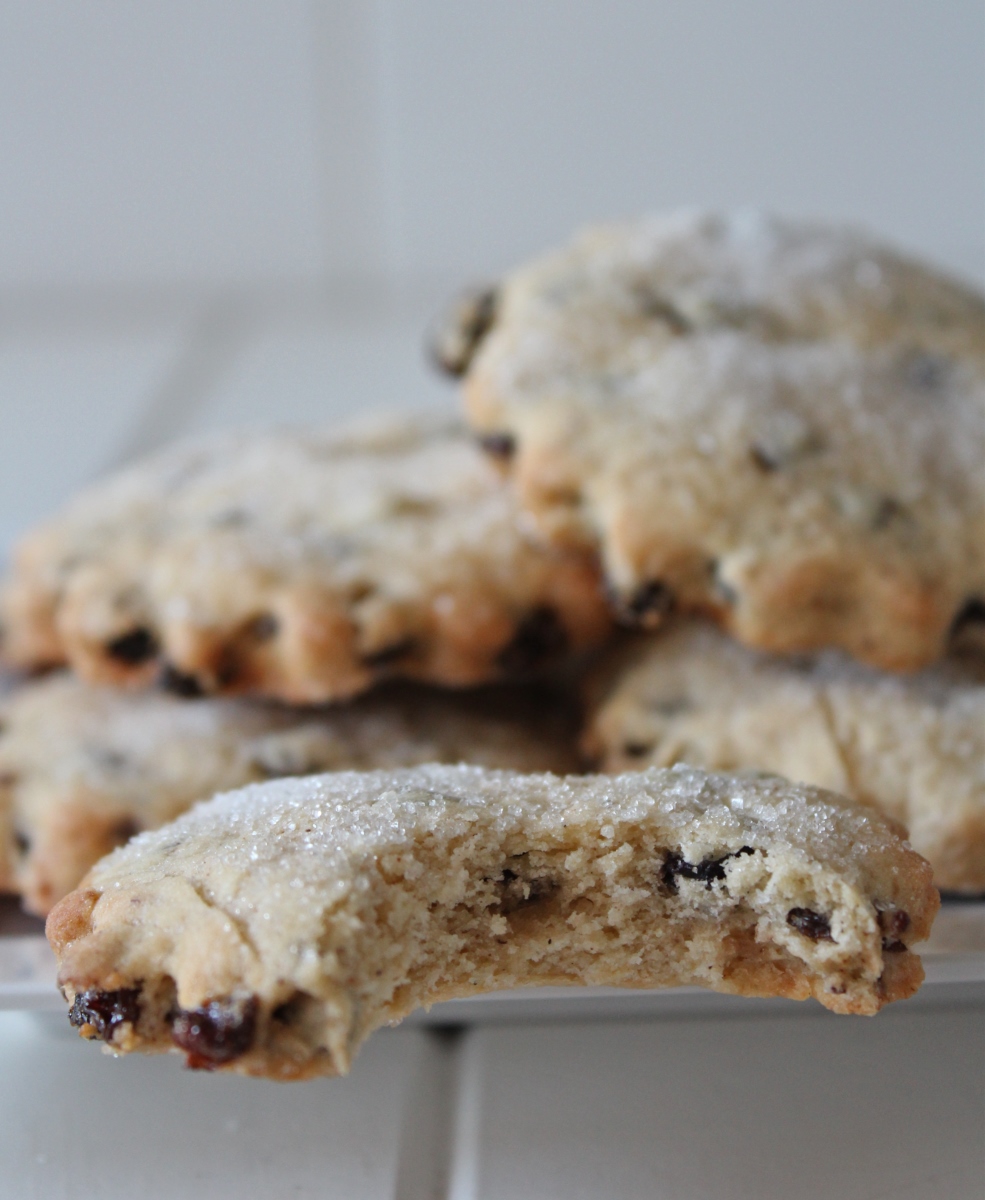 Currant Biscuits - Threadbare Creations